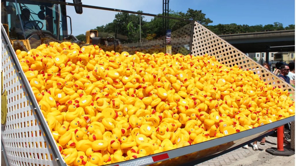 The Great Duck Day Race – Duck Day