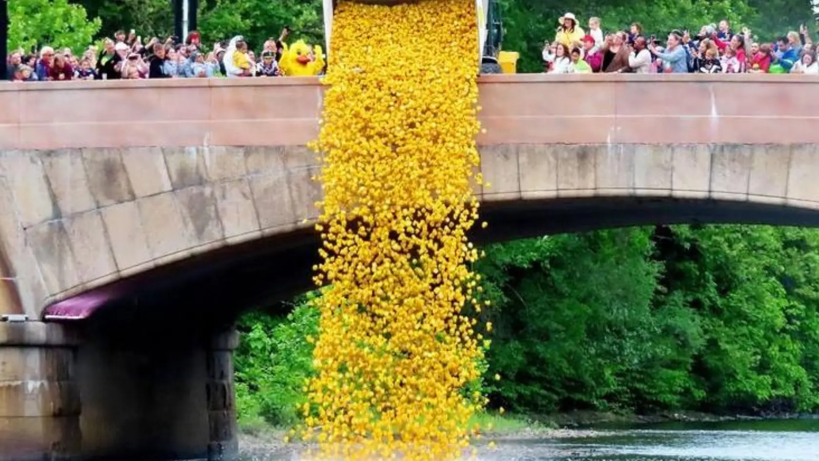 The Great Duck Day Race – Duck Day